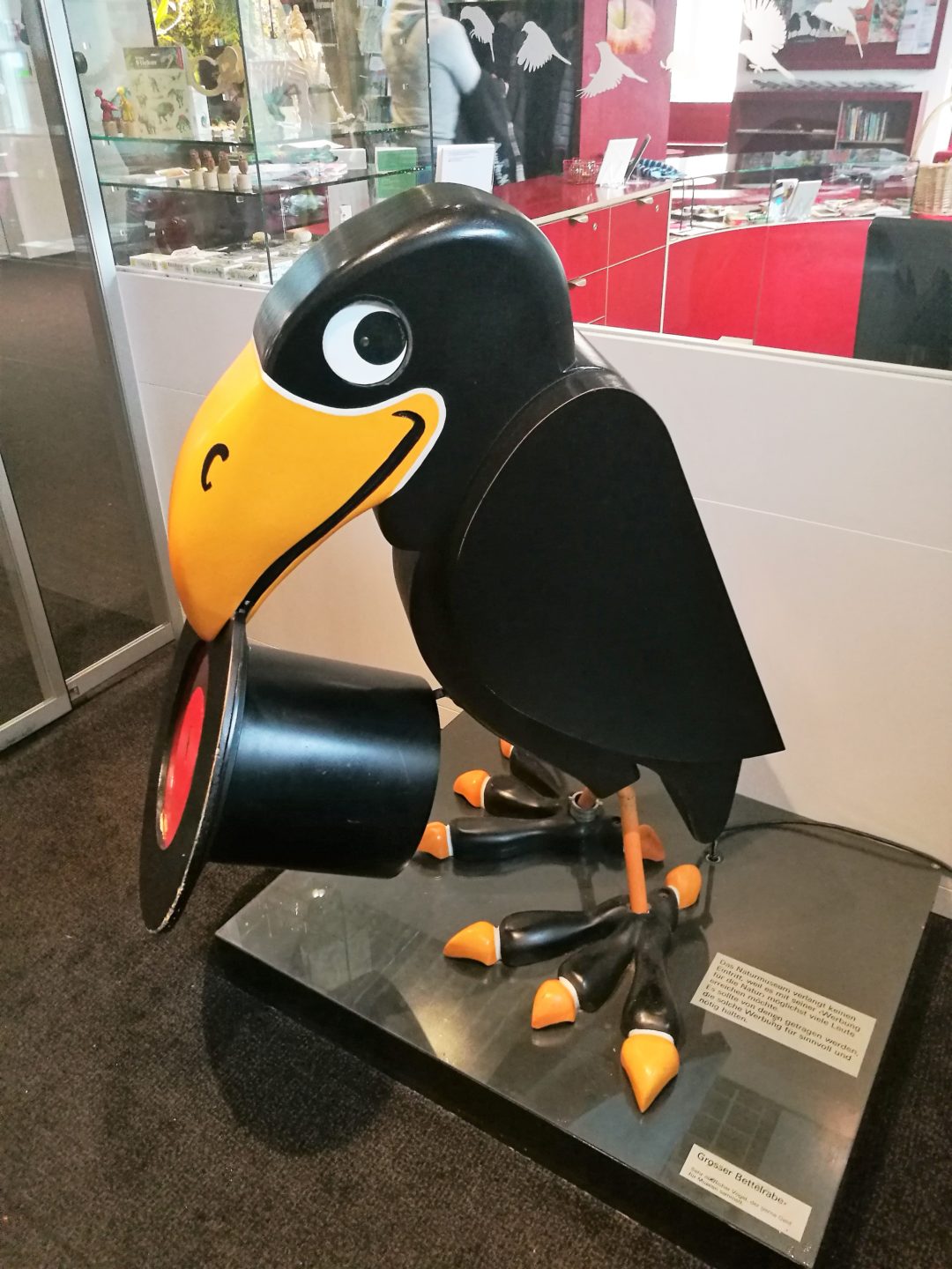 Naturmuseum Solothurn: an unexpected surprise - Our Swiss experience