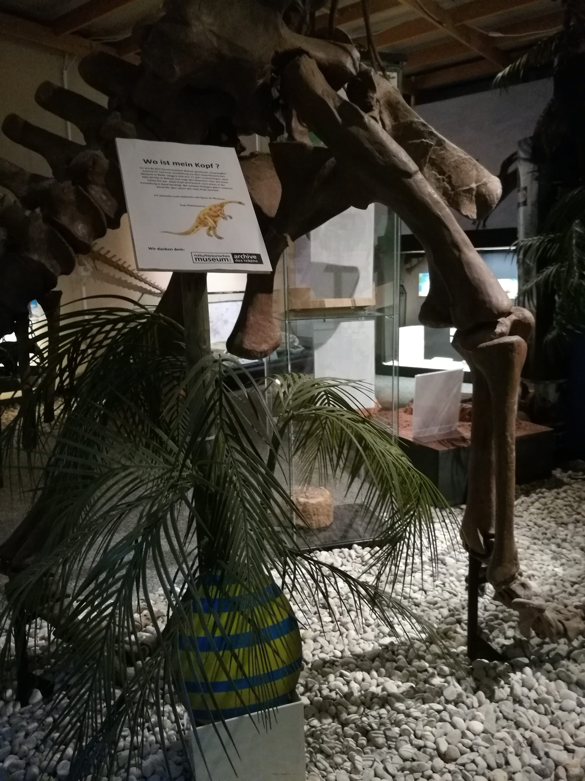 Sauriermuseum Bellach: Die Welt der Dinosaurier an euren Fingerspitzen ...