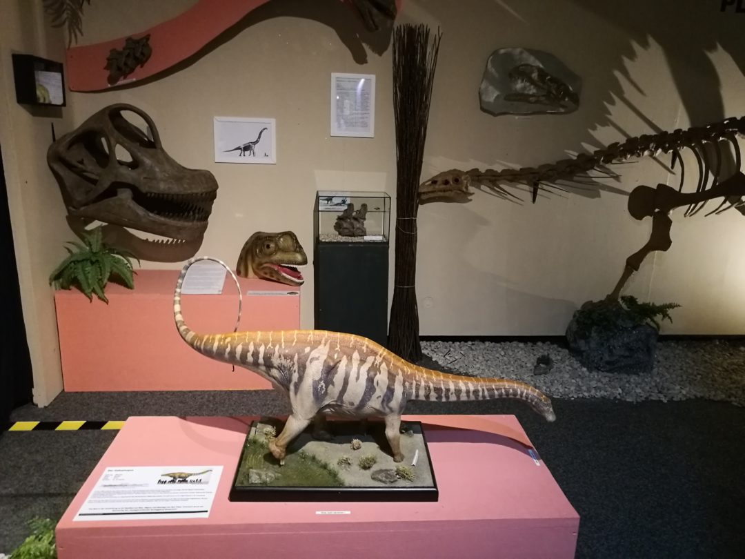 Sauriermuseum Bellach: Die Welt der Dinosaurier an euren Fingerspitzen ...