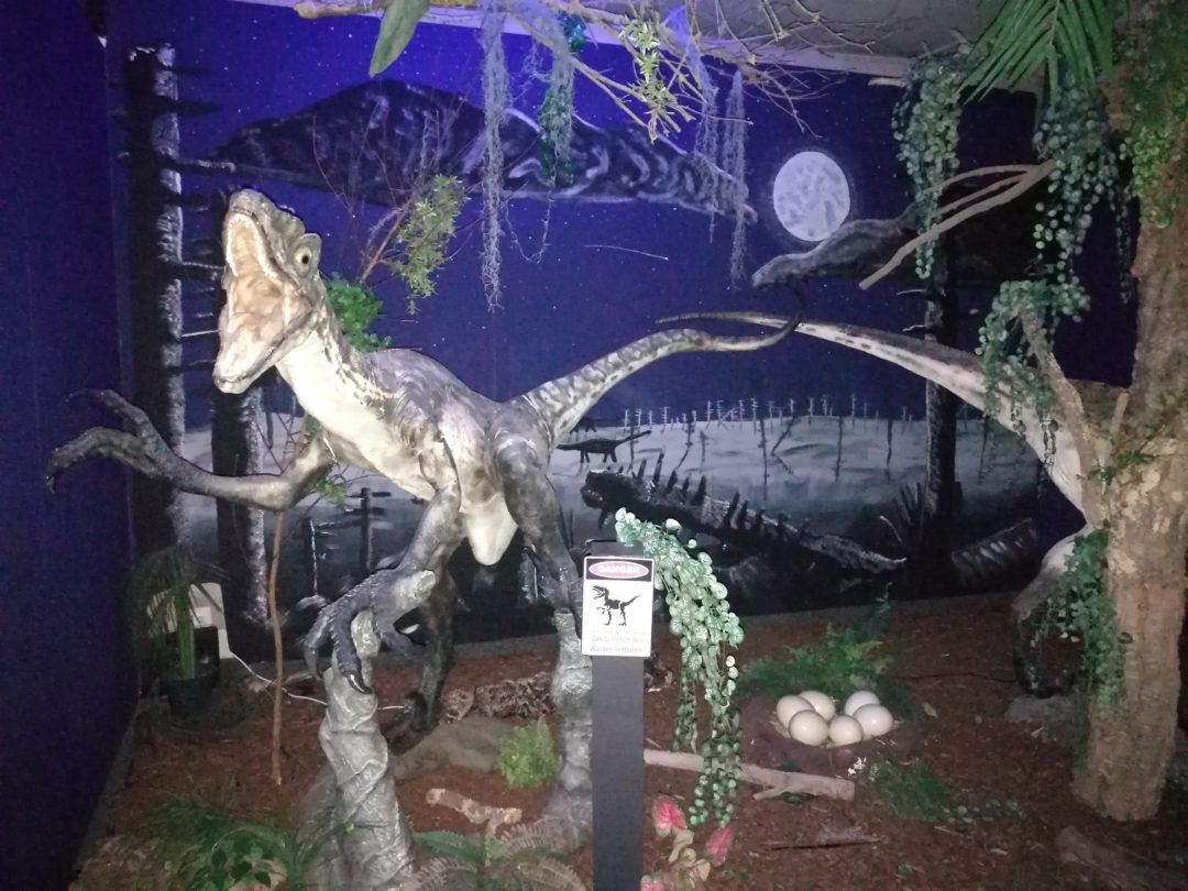 Sauriermuseum Bellach: Die Welt der Dinosaurier an euren Fingerspitzen ...