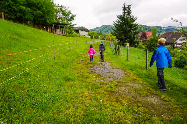 Hiking with kids: Chrüzflue Krauchthal - Our Swiss experience
