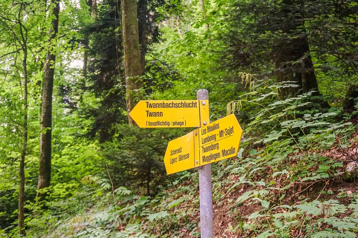 wandern-mit-kindern-durch-die-twannbachschlucht-unsere-schweizer