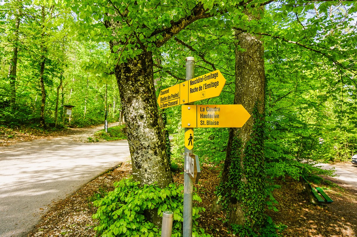 Hiking above Neuchâtel: the Chaumont viewpoint and the "Path of Time ...