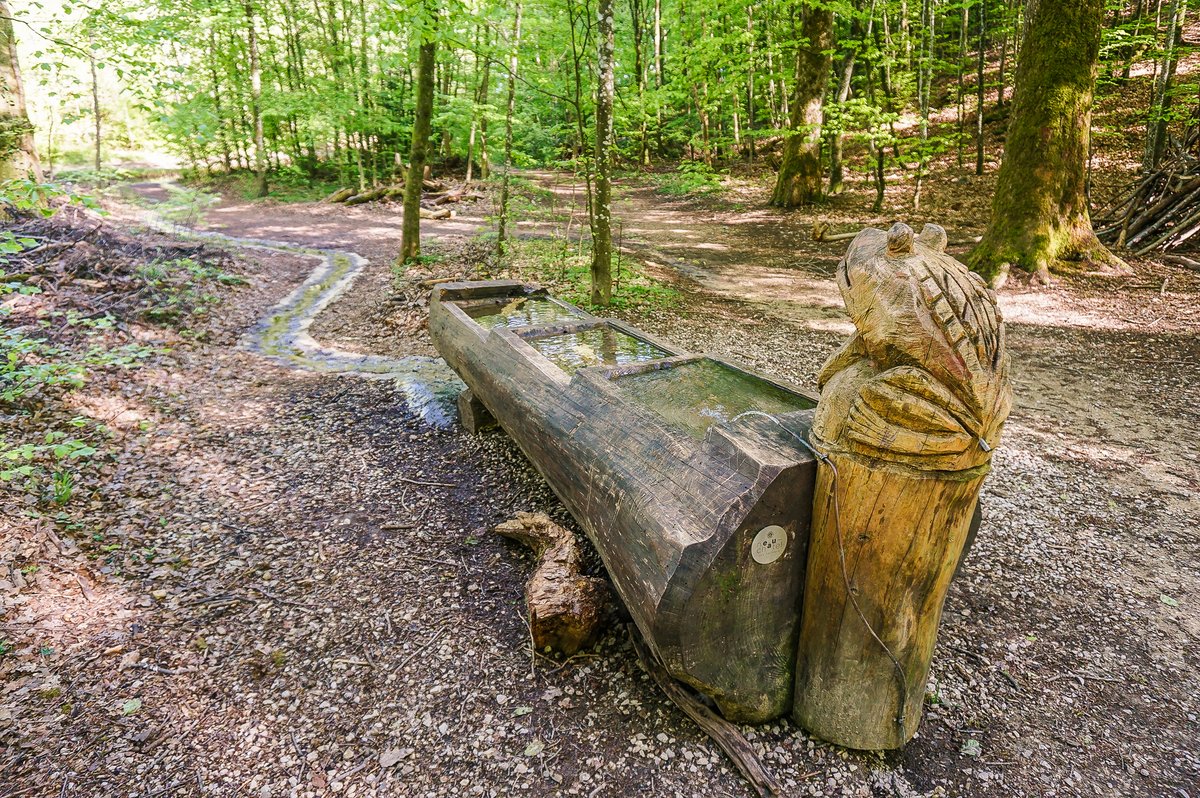 Hiking above Neuchâtel: the Chaumont viewpoint and the "Path of Time ...