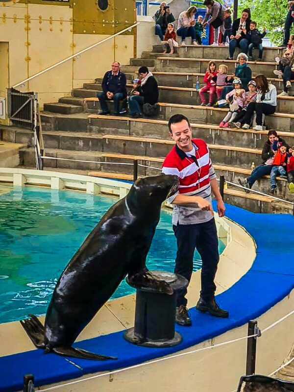 20 best zoos and animal parks in Switzerland - Our Swiss experience