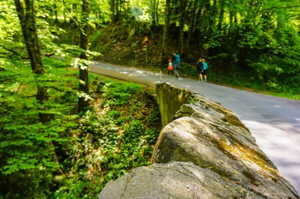 Glion: a hidden gem among the narcissus trails above Montreux - Our ...