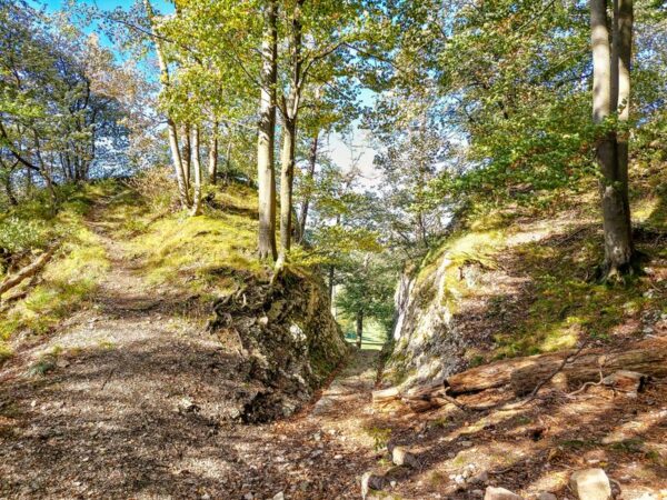 Hiking with kids: Römerstrasse Langenbruck - Our Swiss experience
